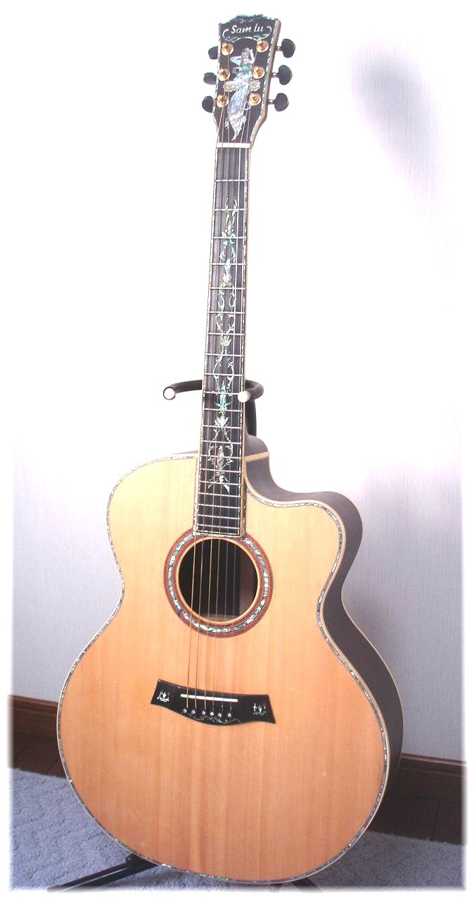 私の所有ギター :ギターを弾こうよ 長渕剛のテクニックに追いつけ！